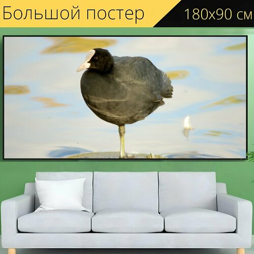 Большой постер "Птицы, водоем, жизнь животных" 180 x 90 см. для интерьера