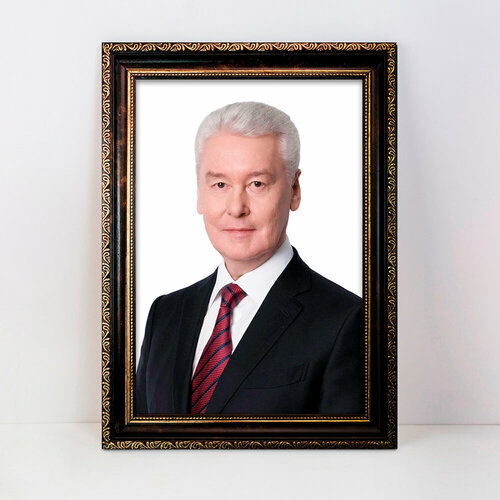 Портрет Собянина С. С. в багетной темно-коричневой рамке / А-3 (30x40 см.)