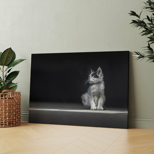 Картина на холсте "Котенок сидит на земле и смотрит вверх" 60x80 см. Интерьерная, на стену.