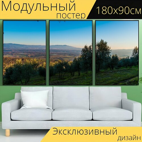 Модульный постер "Оливковое двор, оливки, пейзаж" 180 x 90 см. для интерьера