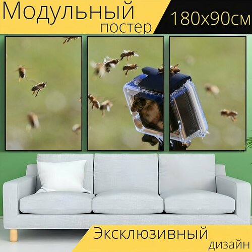 Модульный постер "Иди профи, пчелы, онсекты" 180 x 90 см. для интерьера