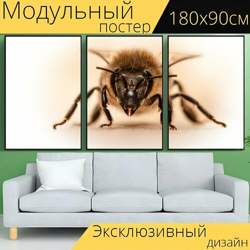 Модульный постер "Пчела, пчелы, насекомое" 180 x 90 см. для интерьера