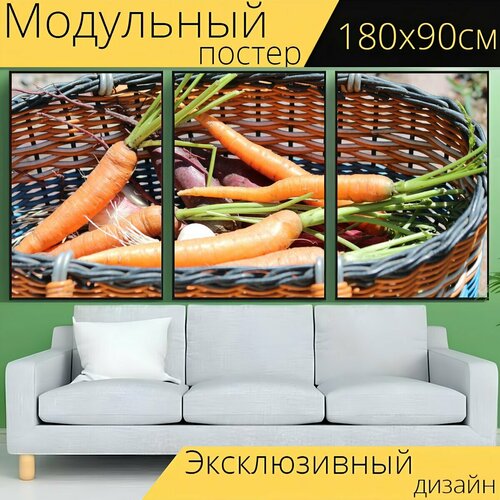 Модульный постер "Морковь, корзина, урожай" 180 x 90 см. для интерьера