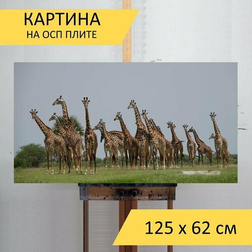 Картина на ОСП 125х62 см. "Жирафа, природа, африка" горизонтальная, для интерьера, с креплениями