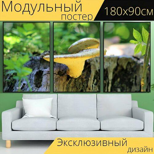 Модульный постер "Грибы, лес, природа" 180 x 90 см. для интерьера
