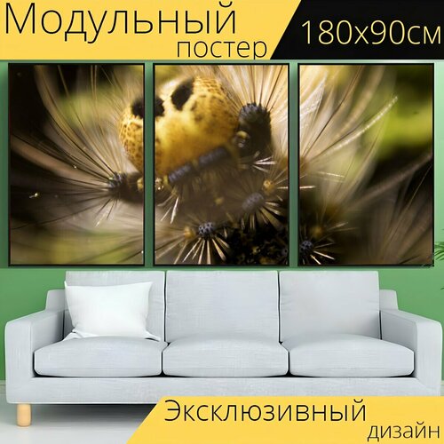 Модульный постер "Гусеница цыганка, макрофотографии, насекомое" 180 x 90 см. для интерьера