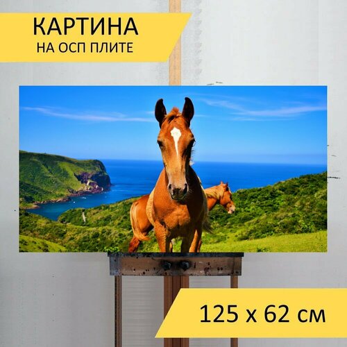 Картина на ОСП 125х62 см. "Острова оки, япония, лошади" горизонтальная, для интерьера, с креплениями