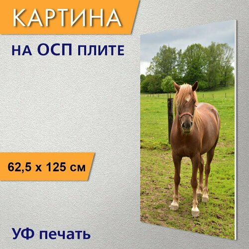 Вертикальная картина на ОСП "Конь, животное, лошади" 62x125 см. для интерьериа