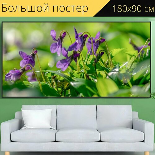 Большой постер "Лесные фиалки, фиолетовый, цветок" 180 x 90 см. для интерьера