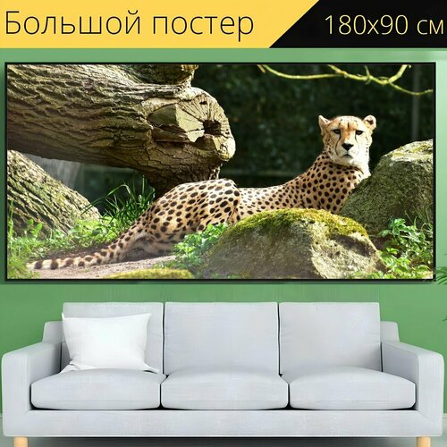 Большой постер "Гепард, большой кот, природа" 180 x 90 см. для интерьера