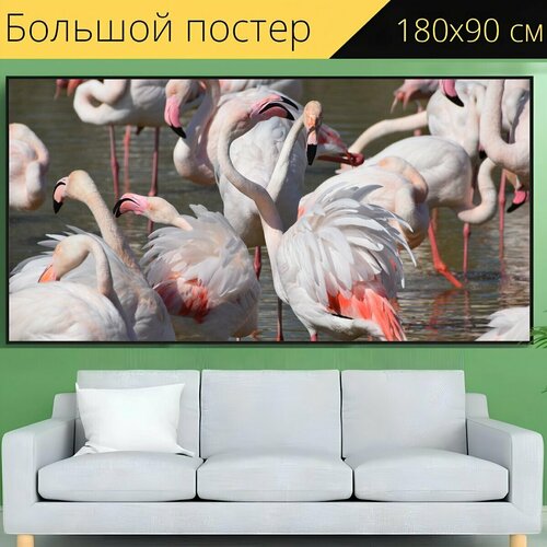 Большой постер "Камарг, фламинго, птицы" 180 x 90 см. для интерьера