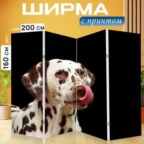 Ширма перегородка с принтом "Далматинец, собака, лизать" на холсте - 200x160 см. для зонирования, раскладная