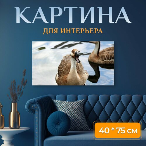 Картина на холсте "Сухонос, гусь, птица" на подрамнике 75х40 см. для интерьера
