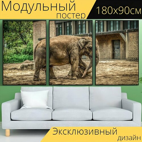 Модульный постер "Слон, животное, природа" 180 x 90 см. для интерьера