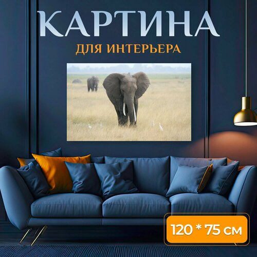 Картина на холсте "Слон, африке, сафари" на подрамнике 120х75 см. для интерьера