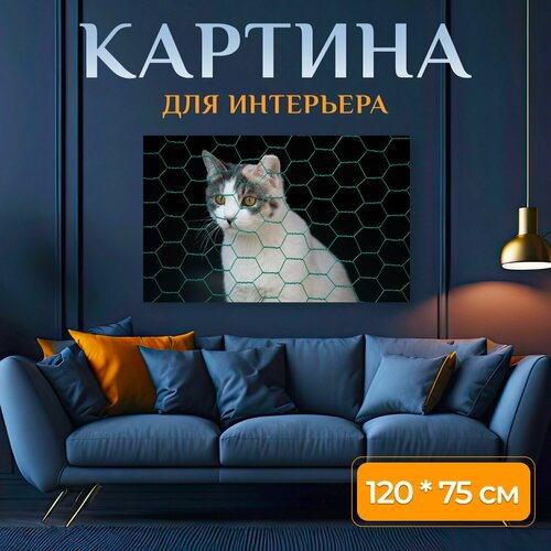 Картина на холсте "Кошка, животное, сетка" на подрамнике 120х75 см. для интерьера