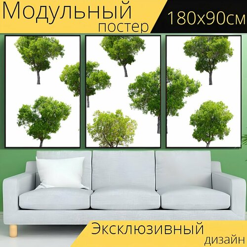 Модульный постер "Дерево, изолированные, природа" 180 x 90 см. для интерьера