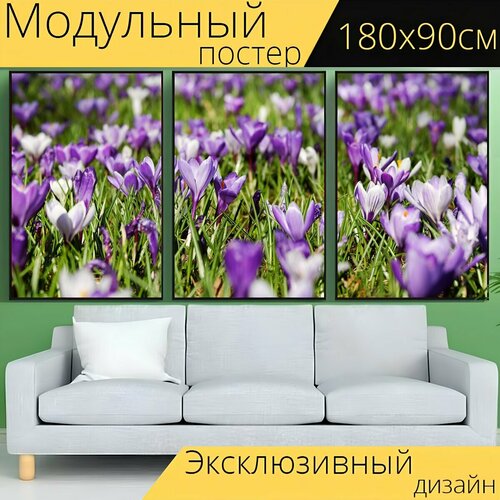 Модульный постер "Крокусы, весна, цветок" 180 x 90 см. для интерьера