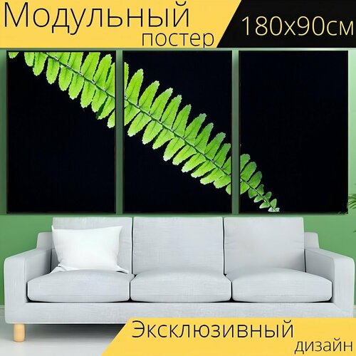 Модульный постер "Лист, дерево, зеленый" 180 x 90 см. для интерьера