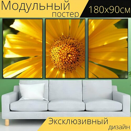 Модульный постер "Эхинацея, цветок, желтый" 180 x 90 см. для интерьера