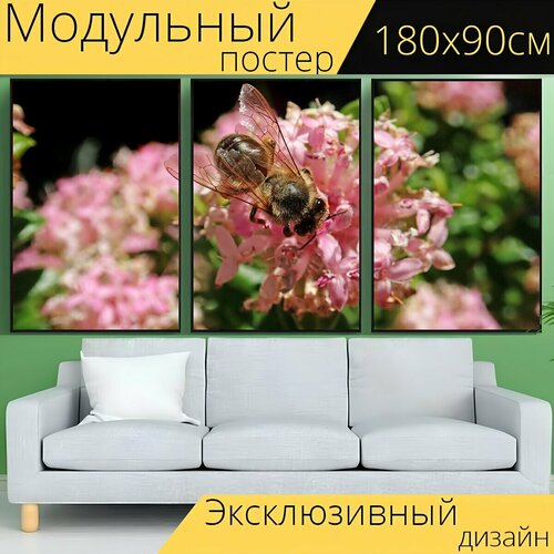 Модульный постер "Пчела, насекомое, цветочная пыльца" 180 x 90 см. для интерьера