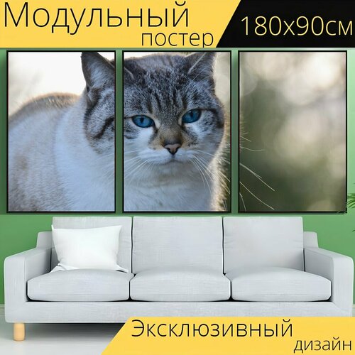 Модульный постер "Портрет кошки, кошка, киска облако" 180 x 90 см. для интерьера