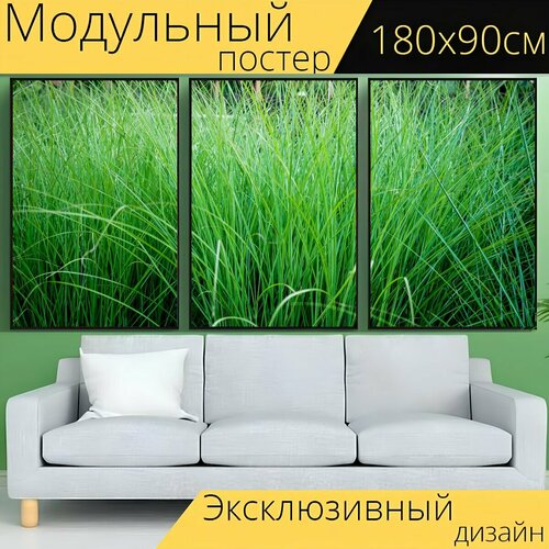 Модульный постер "Трава, зеленый, природа" 180 x 90 см. для интерьера