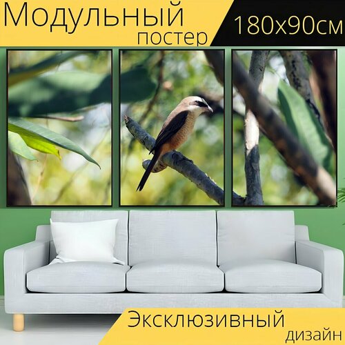 Модульный постер "Дикий, птица, дикая природа" 180 x 90 см. для интерьера