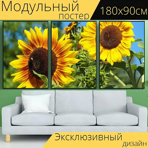 Модульный постер "Подсолнухи, сад, желтый" 180 x 90 см. для интерьера