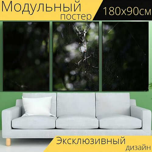 Модульный постер "На открытом воздухе, паук, природа" 180 x 90 см. для интерьера