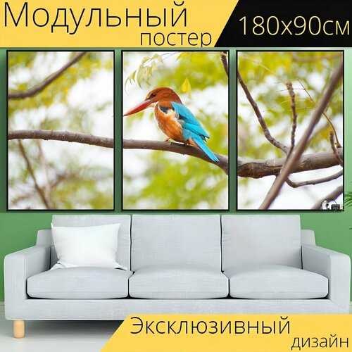 Модульный постер "Природа, птица, зимородок" 180 x 90 см. для интерьера