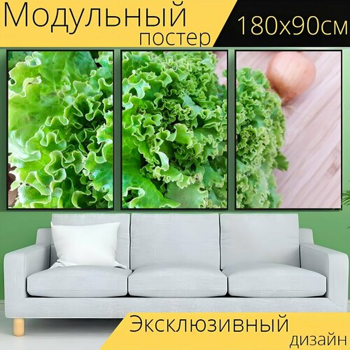 Модульный постер "Салат, лук, овощи" 180 x 90 см. для интерьера