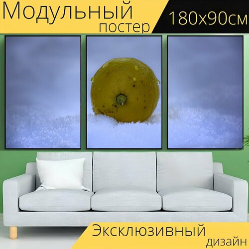 Модульный постер "Лимон, снег, витамины" 180 x 90 см. для интерьера