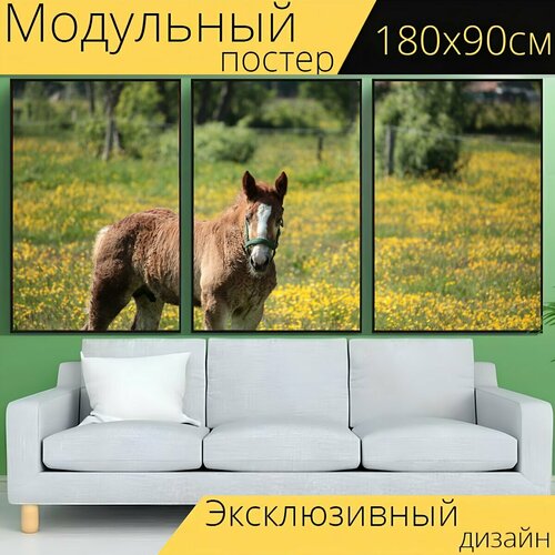 Модульный постер "Жеребенок, лошадь, животное" 180 x 90 см. для интерьера
