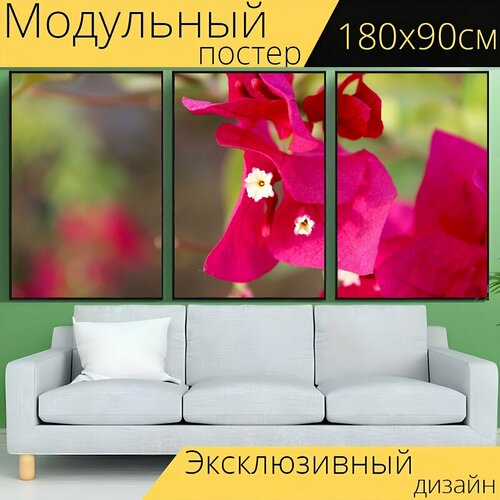Модульный постер "Красный бугенвилии цветы, ботанический, лепесток" 180 x 90 см. для интерьера