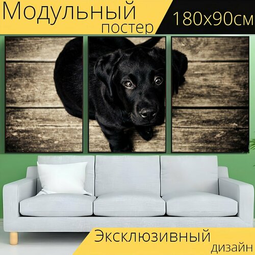 Модульный постер "Щенок, собака, черный щенок" 180 x 90 см. для интерьера
