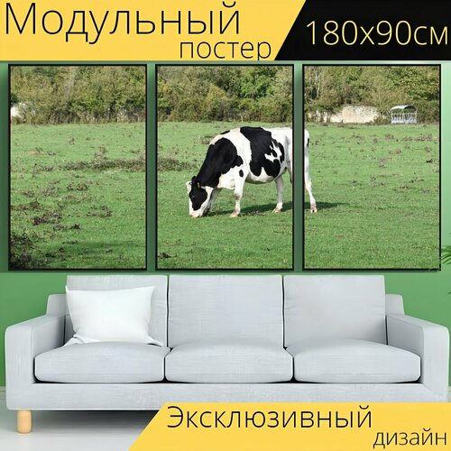 Модульный постер "Корова, корова поедает траву, корова бретани" 180 x 90 см. для интерьера
