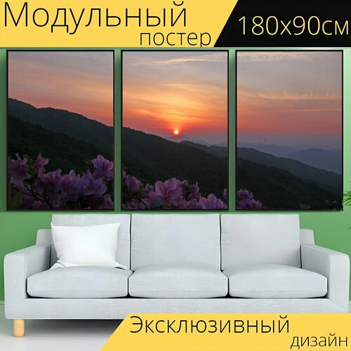 Модульный постер "Восход солнца, цветок, небо" 180 x 90 см. для интерьера