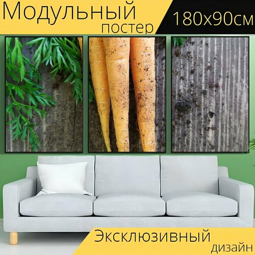 Модульный постер "Морковь, овощи, уборка урожая" 180 x 90 см. для интерьера