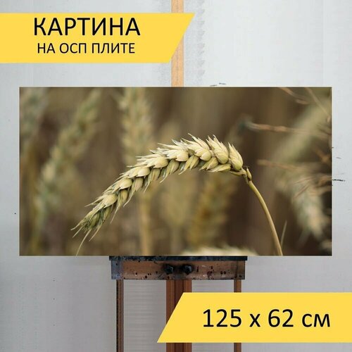 Картина на ОСП 125х62 см. "Пшеница, хлопья, зерно" горизонтальная, для интерьера, с креплениями