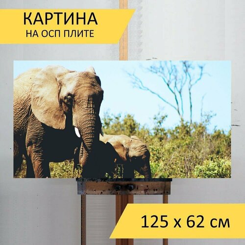 Картина на ОСП 125х62 см. "Слоны, дикая природа, животное" горизонтальная, для интерьера, с креплениями