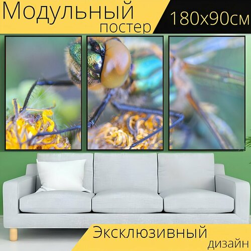 Модульный постер "Природа, насекомое, животные" 180 x 90 см. для интерьера