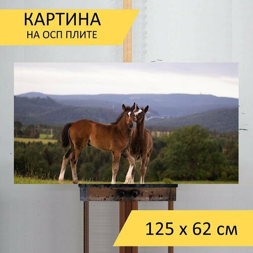 Картина на ОСП 125х62 см. "Лошадь, браун, животное" горизонтальная, для интерьера, с креплениями