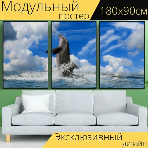 Модульный постер "Животные, млекопитающее, дельфин" 180 x 90 см. для интерьера