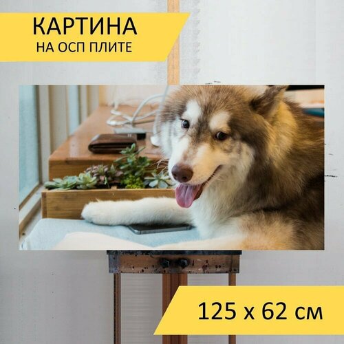 Картина на ОСП 125х62 см. "Собака, щенок, животное" горизонтальная, для интерьера, с креплениями