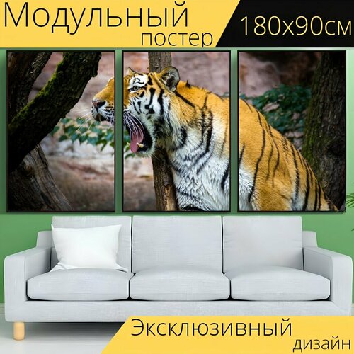 Модульный постер "Тигр, дикий, хищник" 180 x 90 см. для интерьера