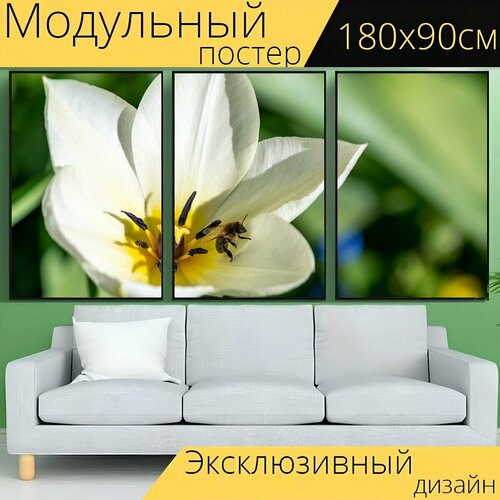 Модульный постер "Пчела, тюльпан, весна" 180 x 90 см. для интерьера