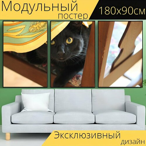 Модульный постер "Кошка, черный кот, стул" 180 x 90 см. для интерьера
