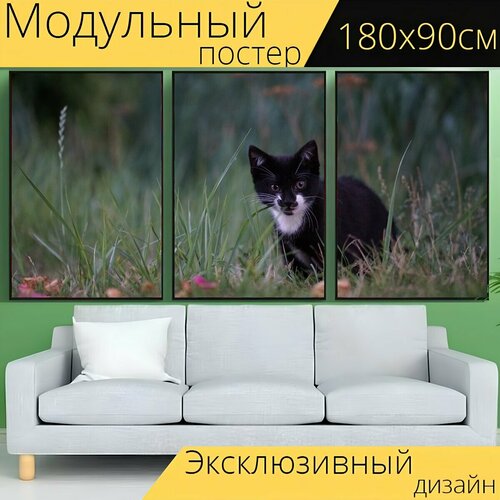 Модульный постер "Кот, похмелье, черный кот" 180 x 90 см. для интерьера