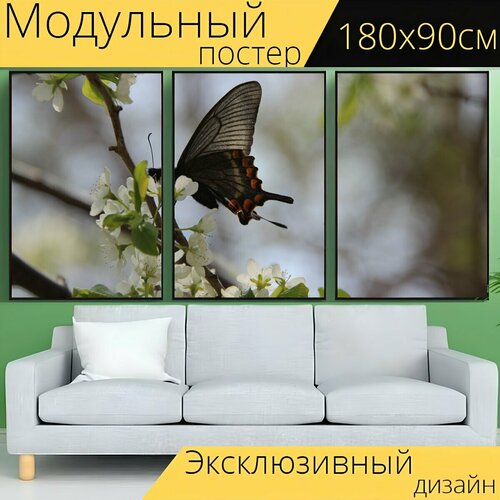 Модульный постер "Природа, цветы, бабочка" 180 x 90 см. для интерьера